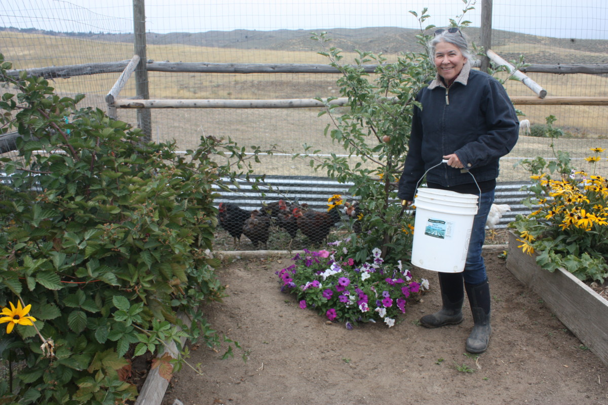Nancy’s Garden Chicken Moat – Timber Butte Homestead