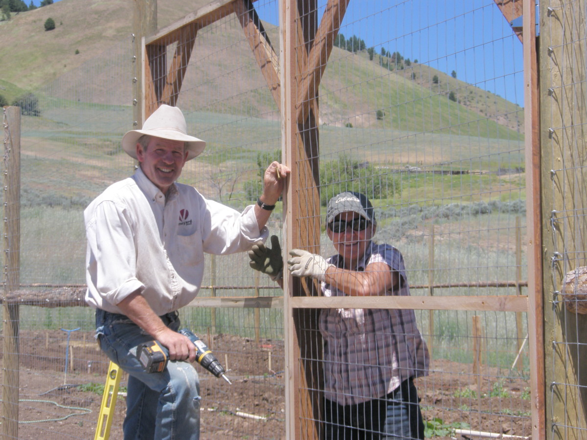 Nancy’s Garden Chicken Moat – Timber Butte Homestead